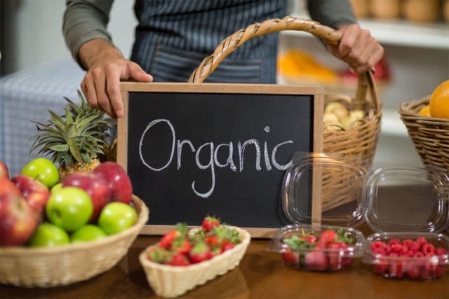 The Most Powerful Eco and Organic WordPress Themes - TemplateMag